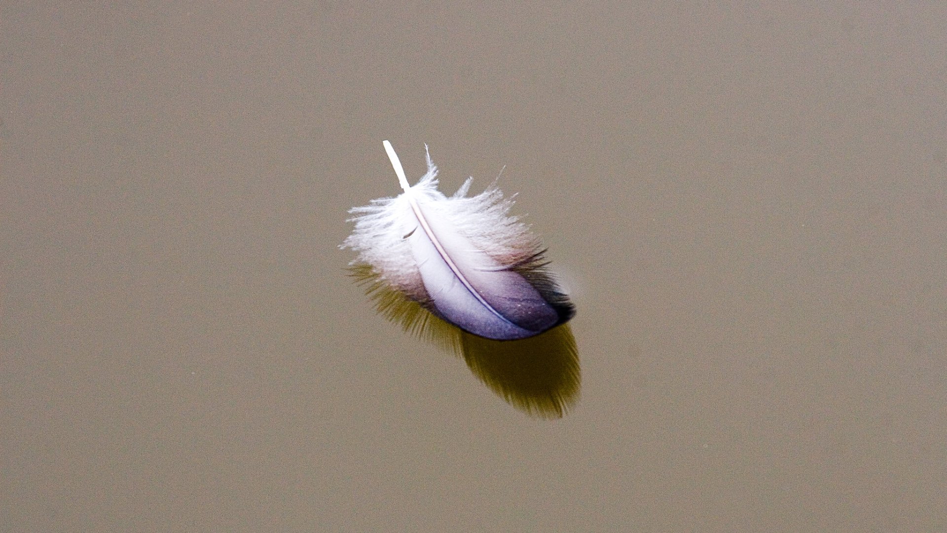 The unbearable lightness of being - Jemima Gibbons